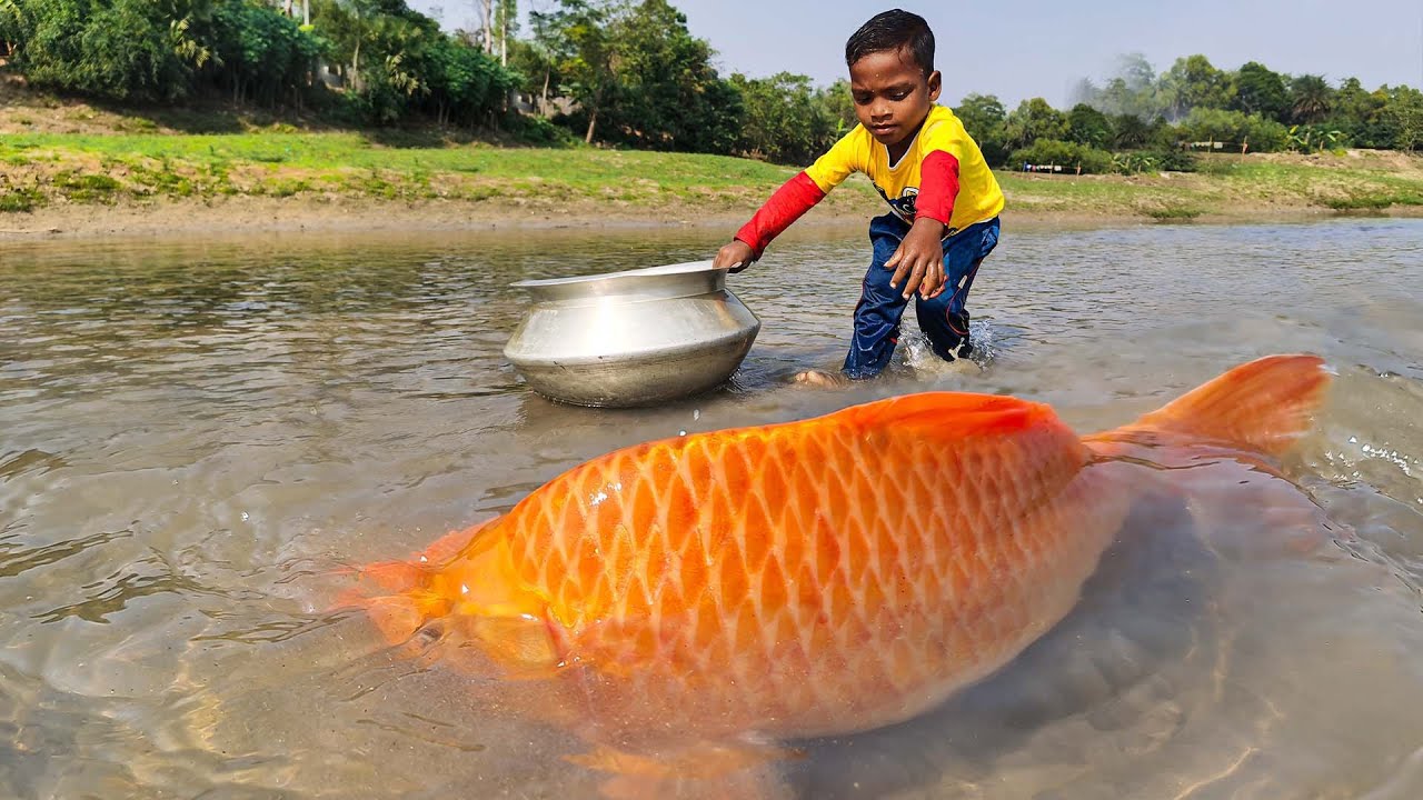 Amazing Boy Catching Fish By Hand | Traditional Little Catching Big ...
