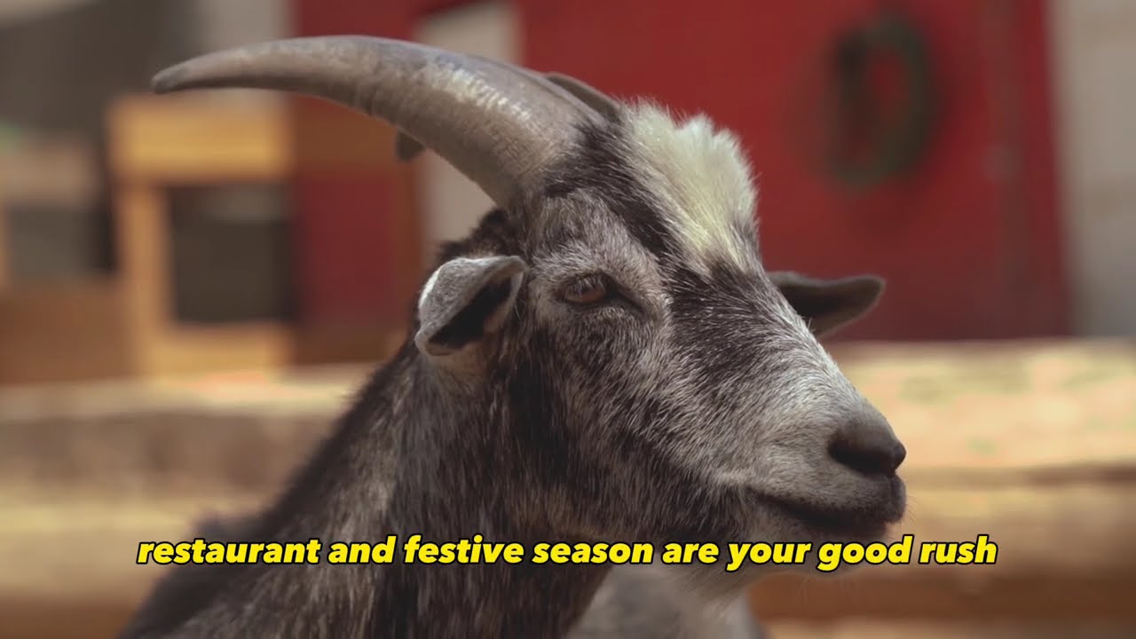 How To Make Millions From Goat Breeding #goatfarming - YouTube