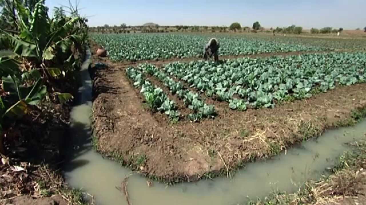Climate Change - Worldwide Christian Aid Projects - YouTube