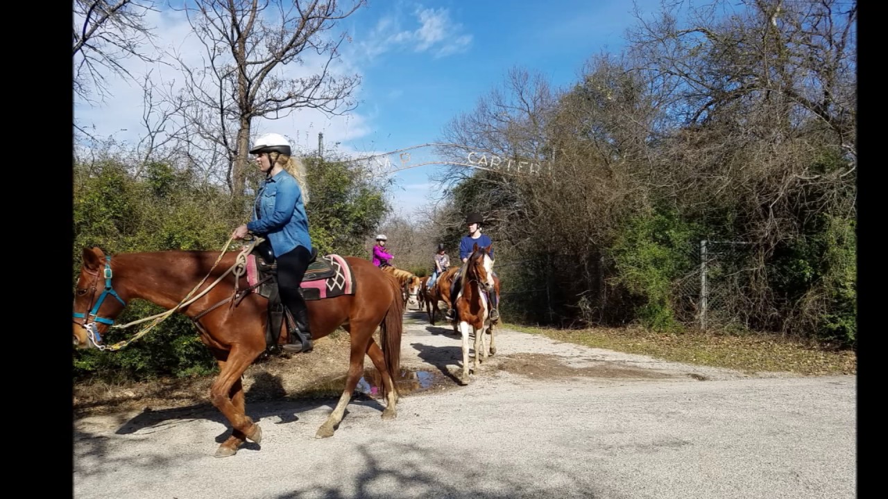 Trinity Waterfall Ride 1 21 2017 - YouTube
