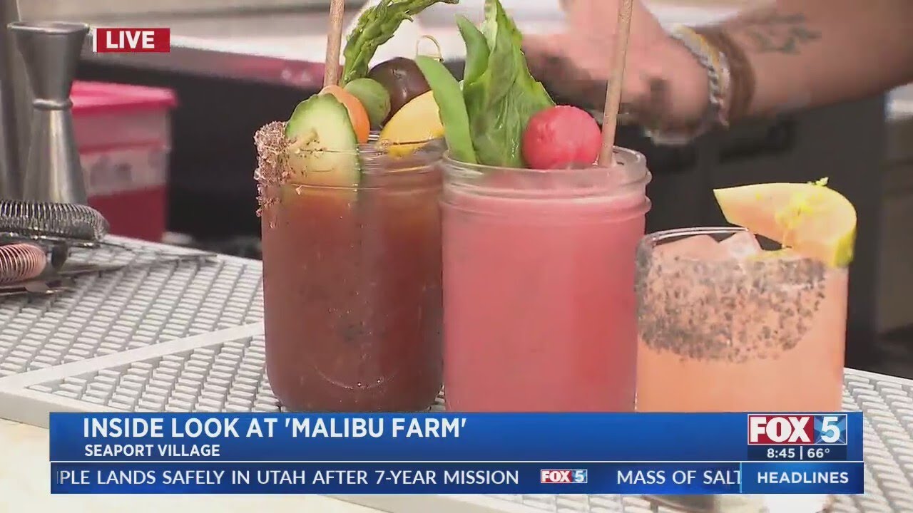 Malibu Farm At Seaport Village - YouTube