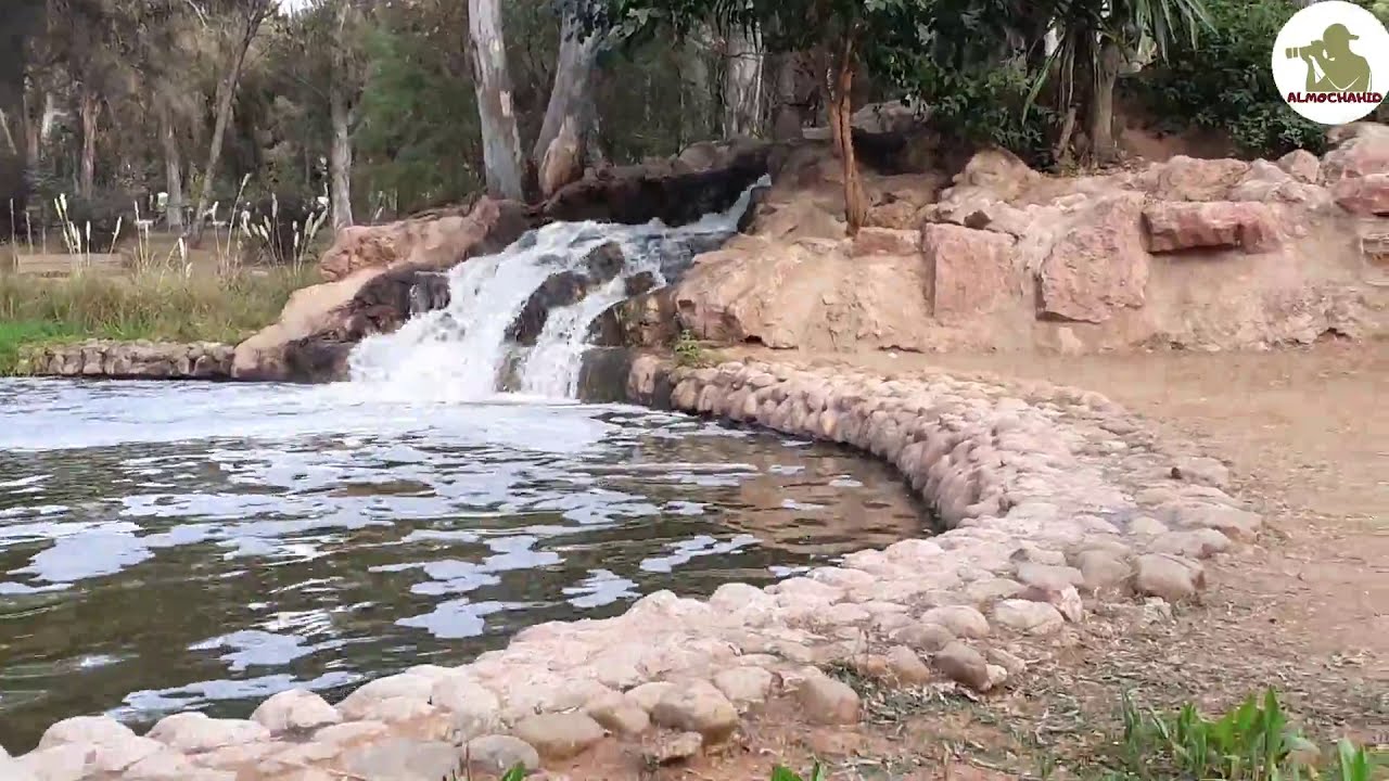 NEW PLACES TO VISIT : HILTON FOREST IN RABAT MOROCCO مناظر من غابة ...