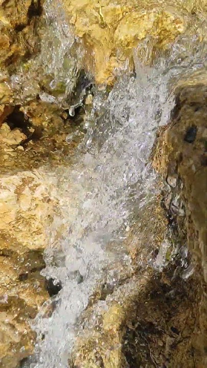 چقد جناب حافظ قشنگ میگهچرخ گردون چه بخندد چه نخندد تو بخندمشکلی گر سر راه تو ببندد تو بخند🍁🍂