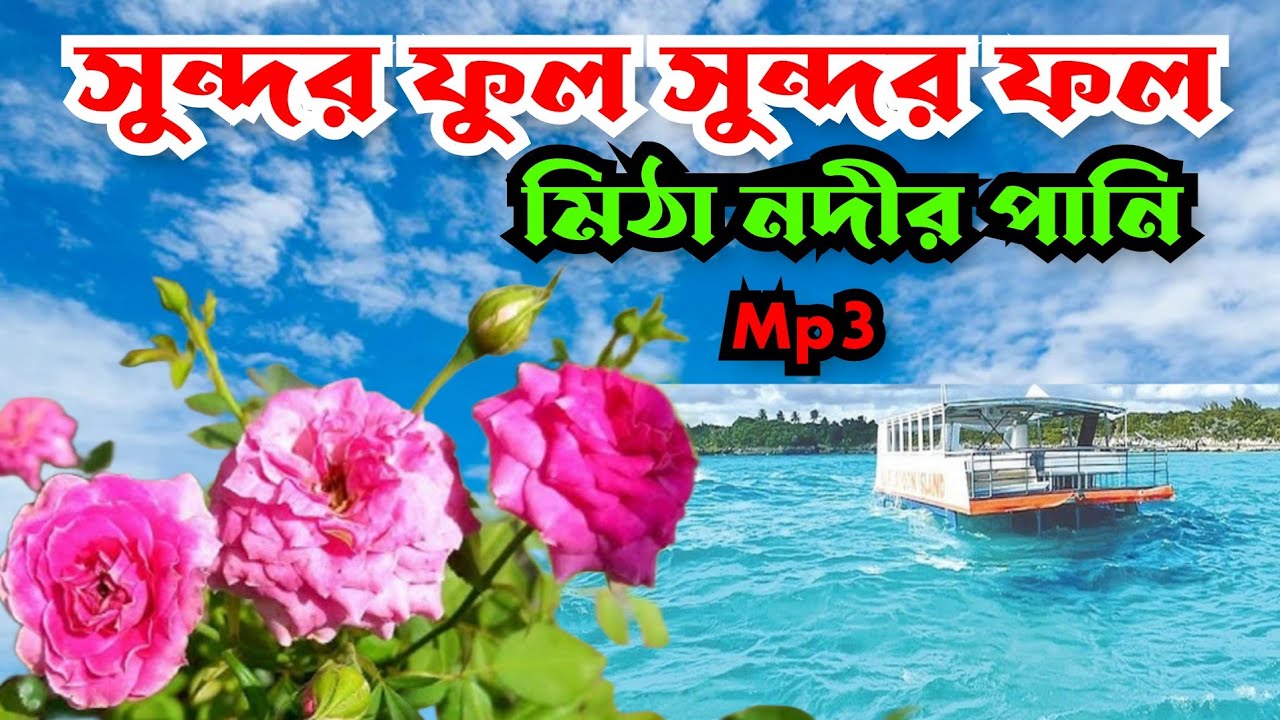 সুন্দর ফুল সুন্দর ফল মিঠা নদীর পানি খোদা তোমার মেহেরবানী sundar phool ...