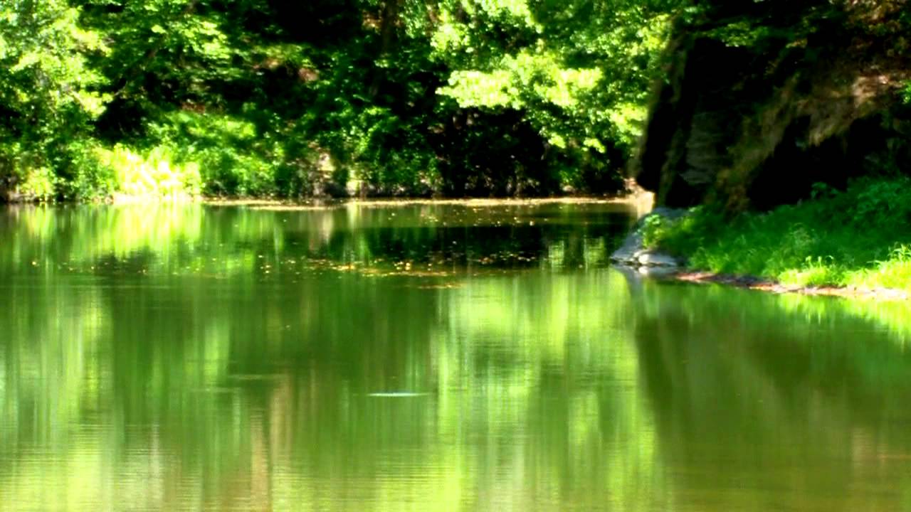 Defileul Lăpuşului - Pescuit - YouTube