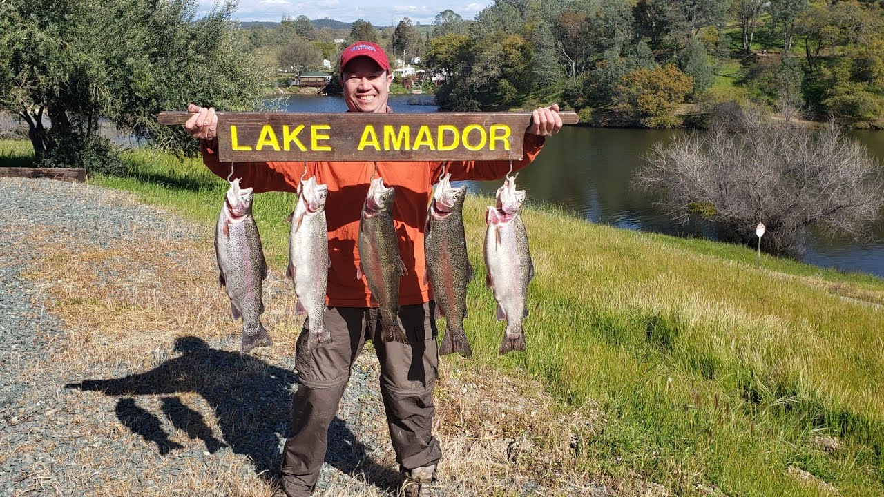 4/4/2023: PHIL-NOMENAL CUTBOW TROUT FISHING @ LAKE AMADOR - YouTube