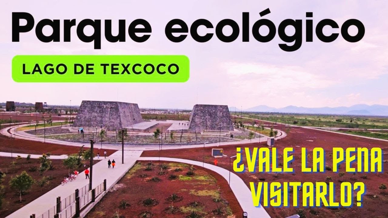 Descubre Parque Ecológico Lago Texcoco | Recorrido un día después de la ...