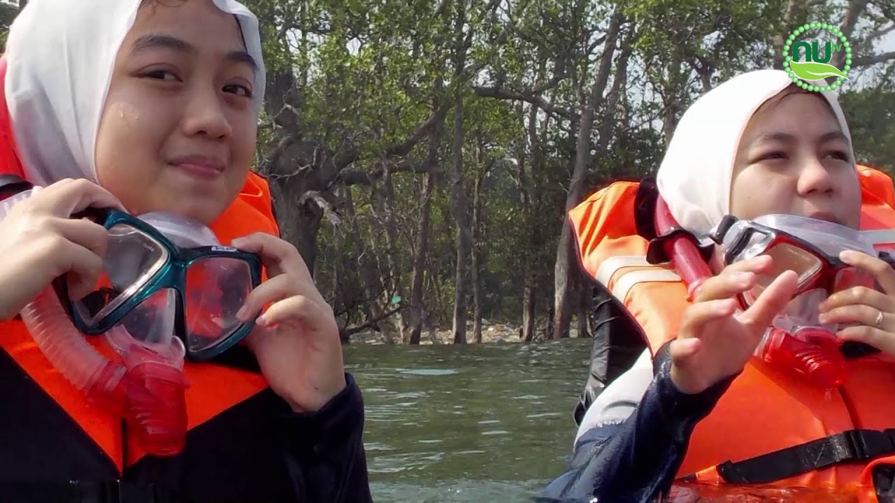 Profil Pondok Pesantren AL Manar Azhari - YouTube