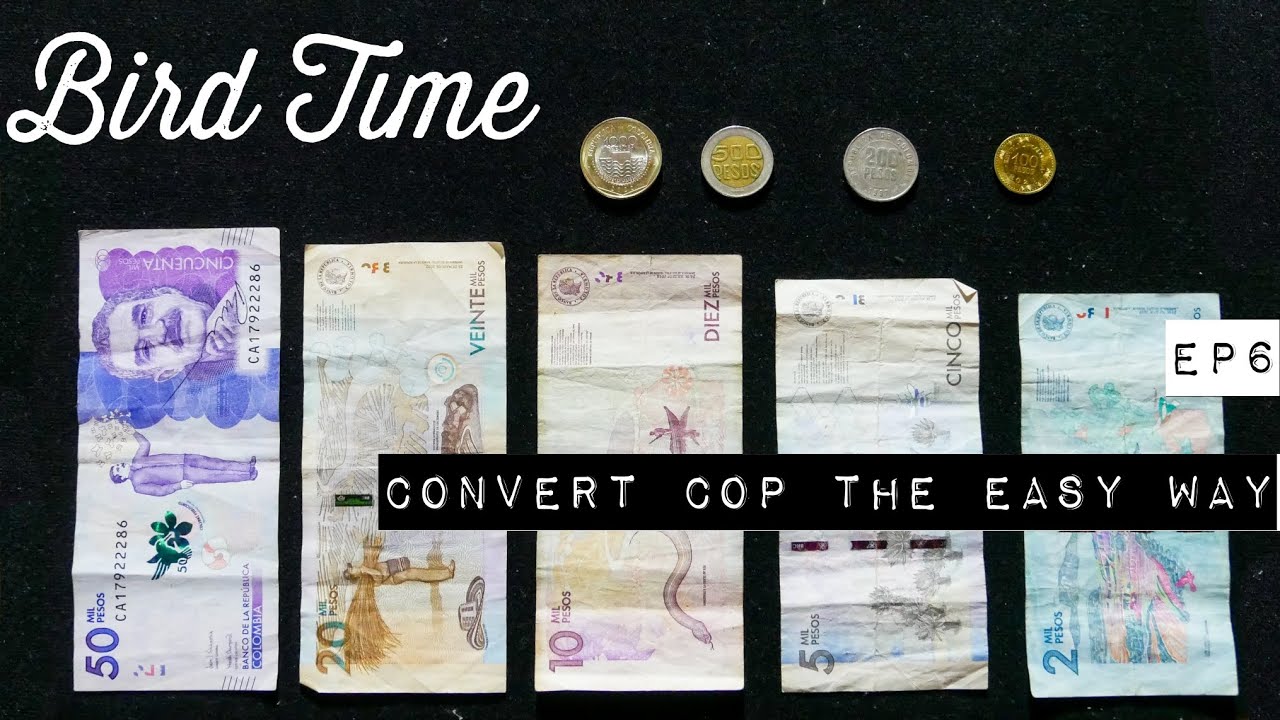 Bird Time EP6 Convert Colombian Pesos To USD EUR Or CHF The Easy Way bird-time-ep6-convert-colombian-pesos-to-usd-eur-or-chf-the-easy-way