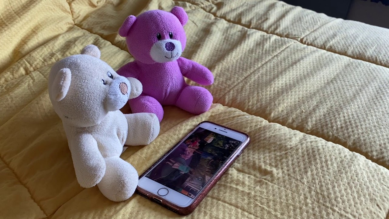 Teddy Adventures #5 - YouTube