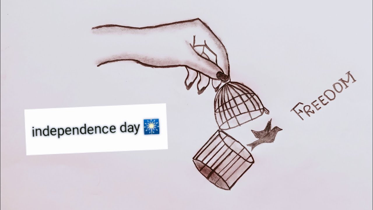 Freedom Bird / Independence day - Easy drawing for beginners/ New video ...