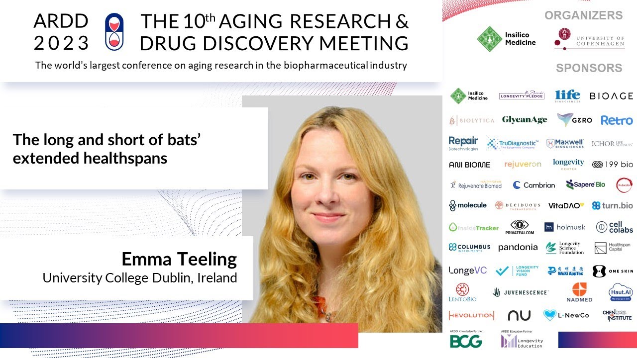 Emma Teeling at ARDD2023: The long and short of bats’ extended ...