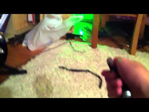 50mw Green Amazon.com Laser Popping Balloons + Demo - YouTube