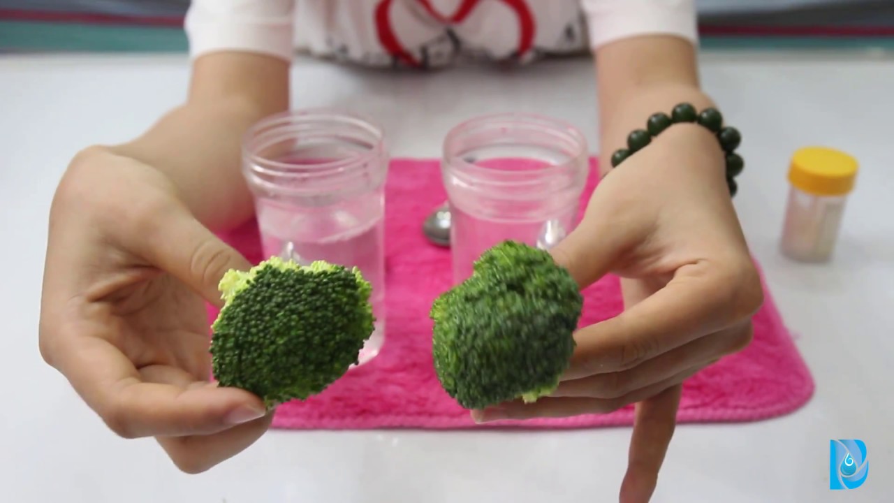 Hướng dẫn chi tiết demo Dish Drop của Amway - A Product by D.OCEAN ...