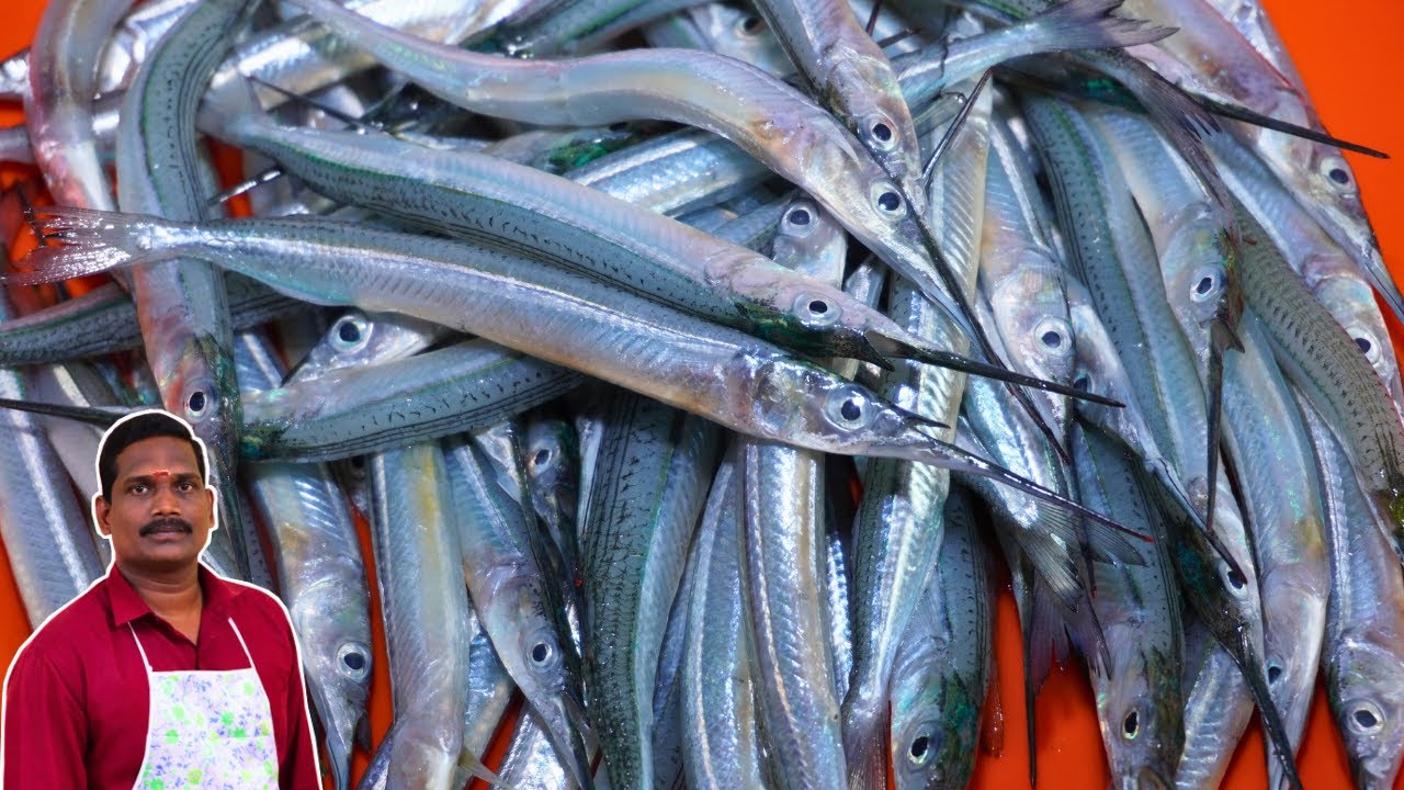 இந்த மீன் கிடைத்தால் விடாதீங்க ! ஊசி கோலா மீன் குழம்பு | Oosi kola fish ...