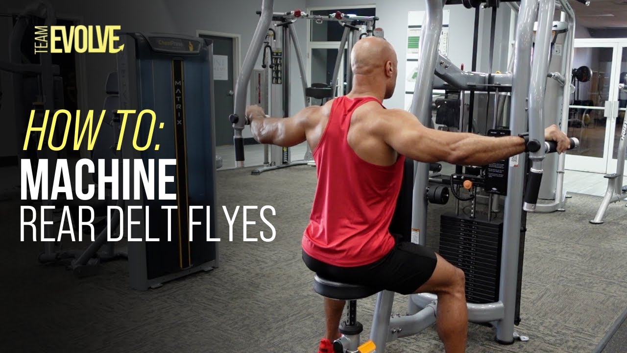 Machine Rear Delt Flyes Tutorial | Team Evolve - YouTube