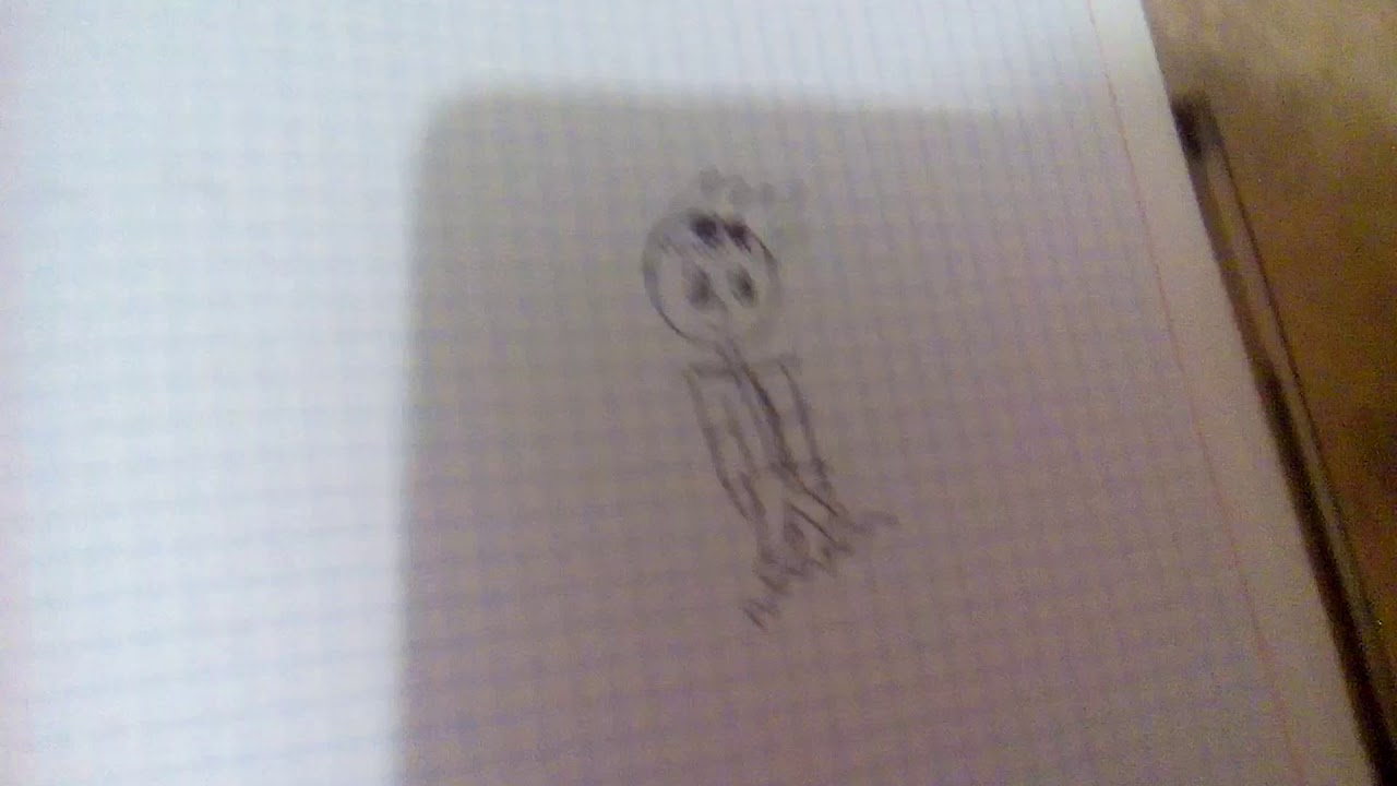 Como dibujar a timaba :8 - YouTube