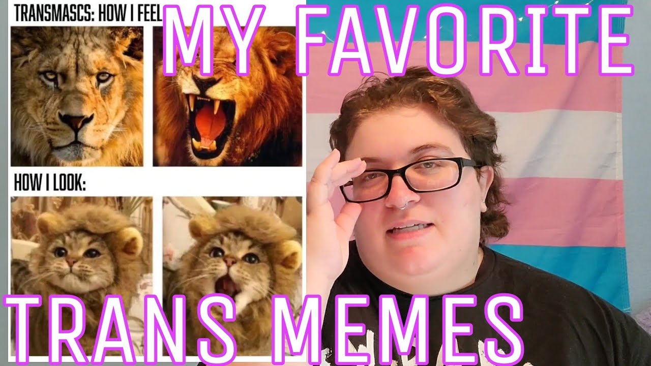 My Favorite Trans Memes | Fat FTM - YouTube
