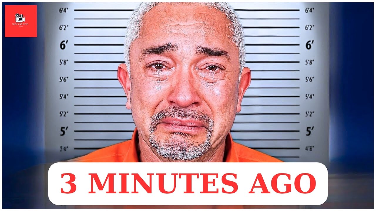 Cesar Millan Collapses in Court After Shocking Verdict | Then and Now ...