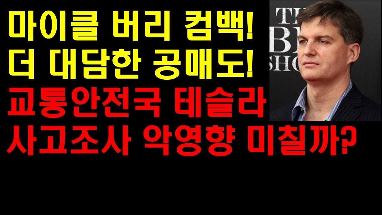 교통안전국 테슬라 전면조사 악영향을 미칠까 마이클버리 컴백 더 대담한 공매도 치다니상반기 미국 전기차 시장 점유율 분석