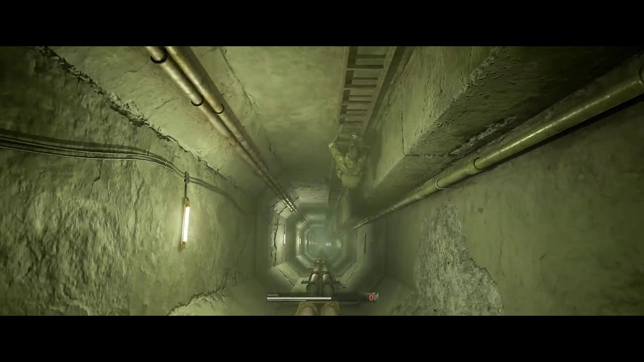 Metal Gear Solid Delta: Snake Eater / The most famous videogame ladder ...