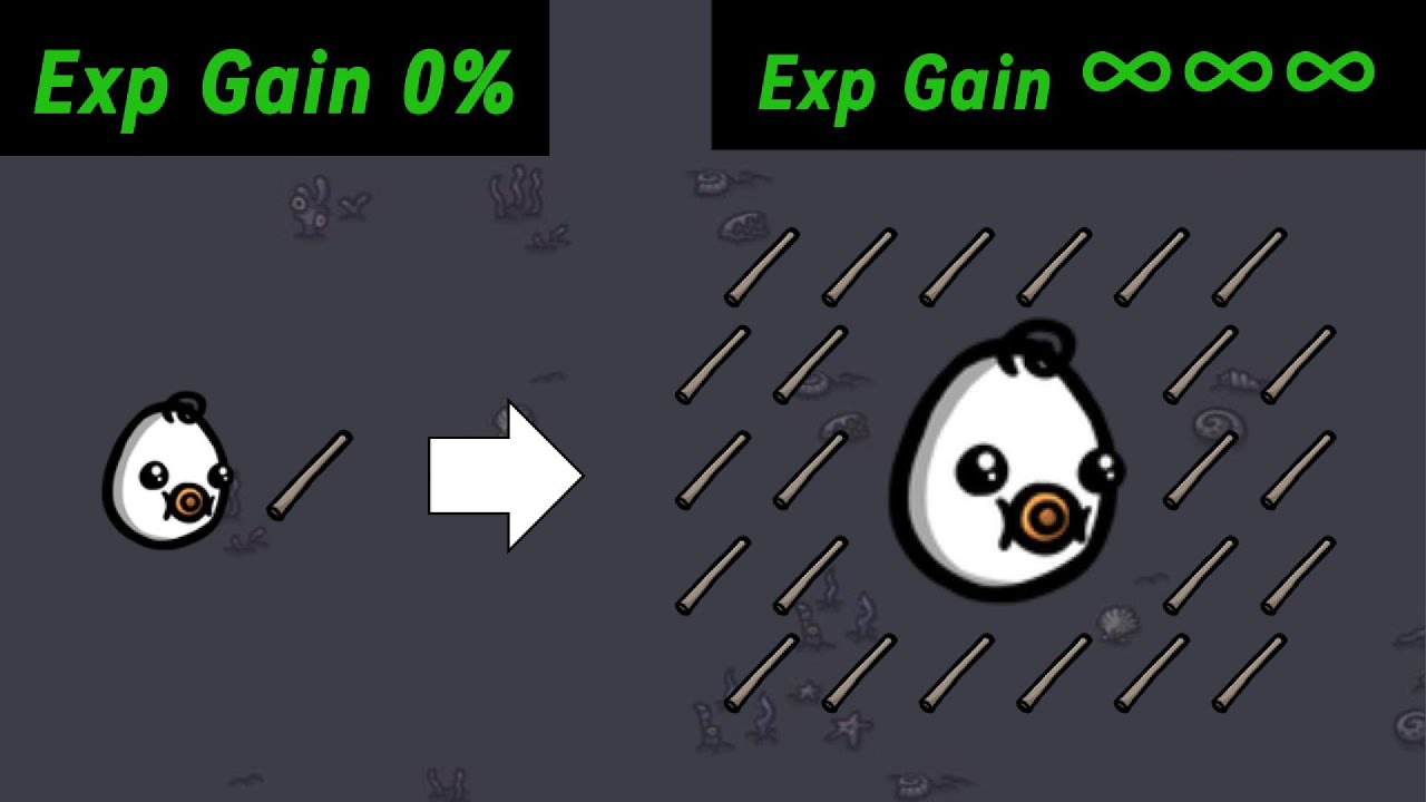 Maxxing Out Our Exp Gain with 24 Quarterstaffs on the Baby - YouTube