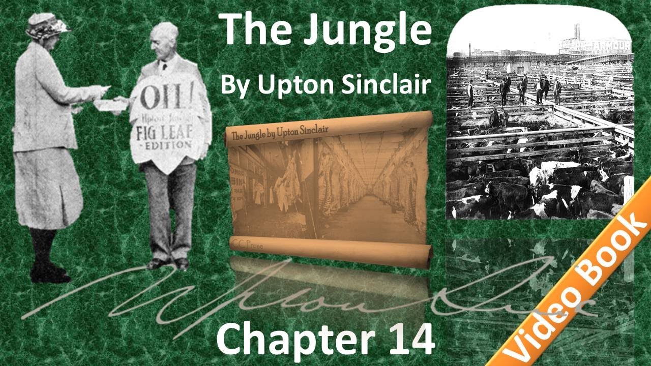 Chapter 14 - The Jungle by Upton Sinclair - YouTube
