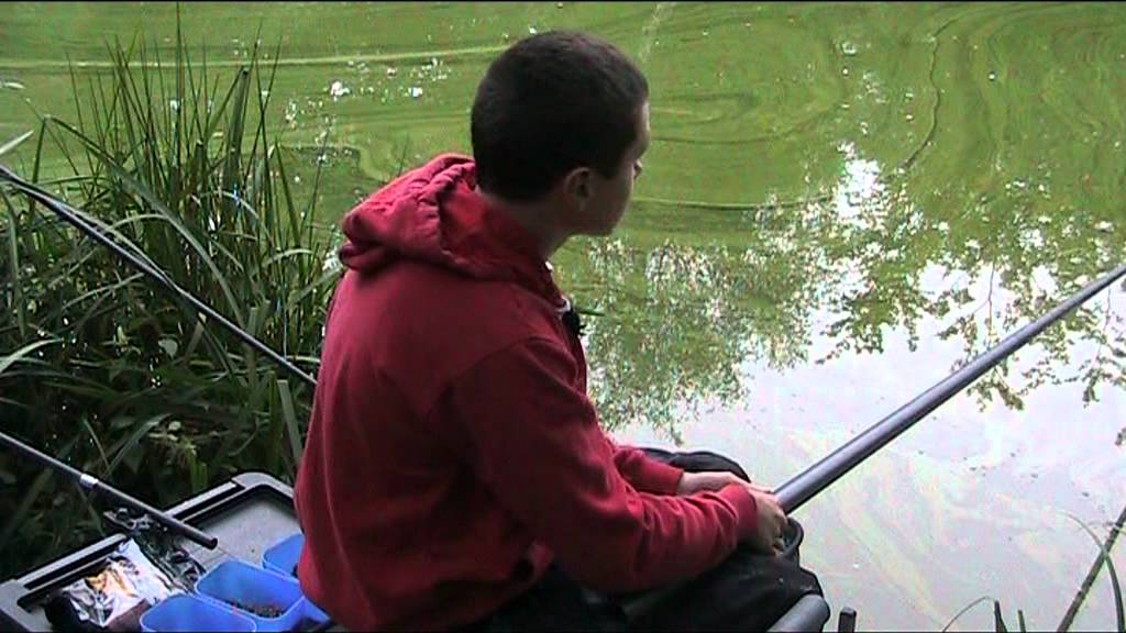 Pellet Fishing on the Long Pole....Pole Fishing Tips - YouTube