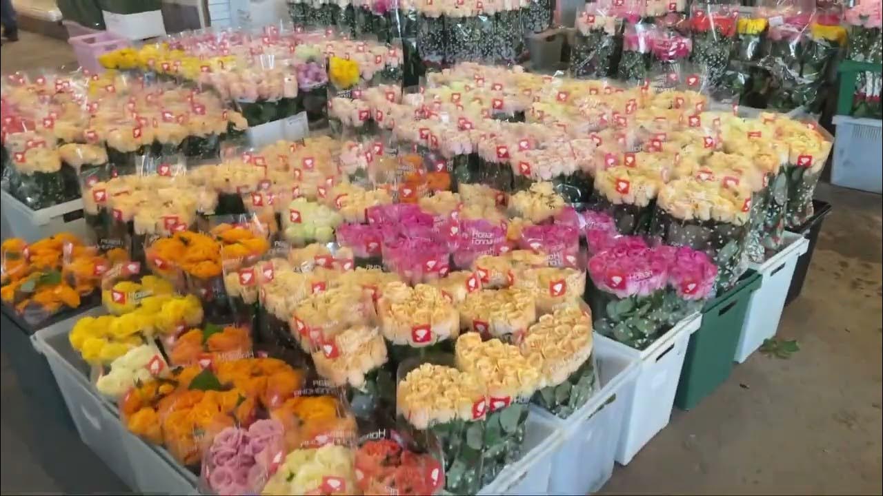 Где можно купить цветы…?Цветы оптом ! Оптовый цветочный рынок ! 8 марта ...