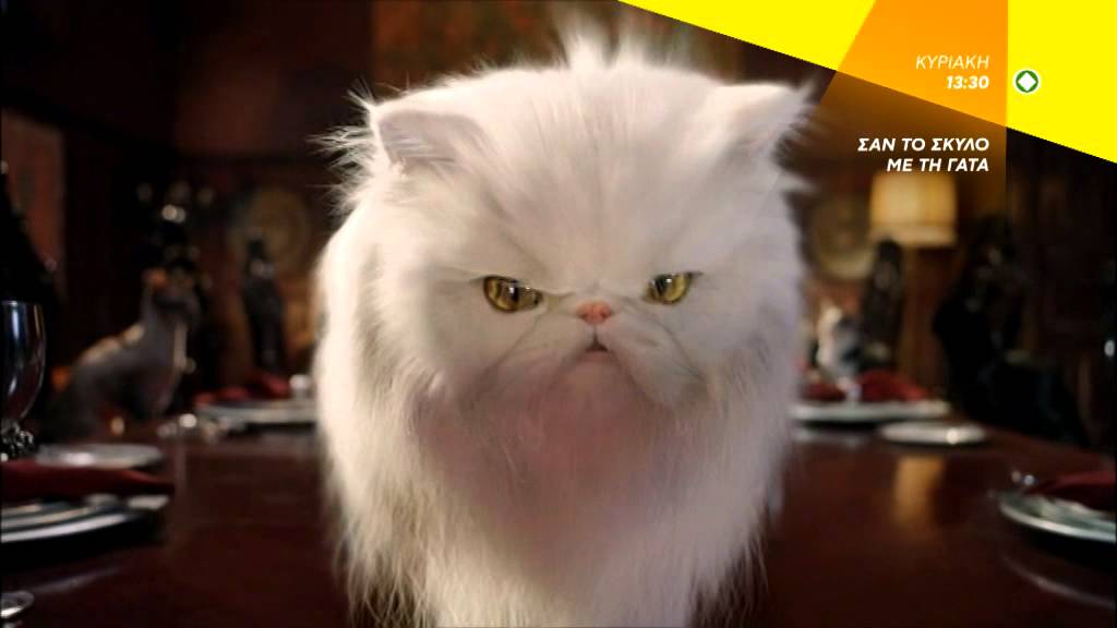 ΣΑΝ ΤΟ ΣΚΥΛΟ ΜΕ ΤΗ ΓΑΤΑ (CATS & DOGS) - trailer - YouTube