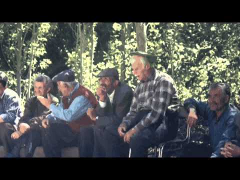 Murto Dedenin anisina