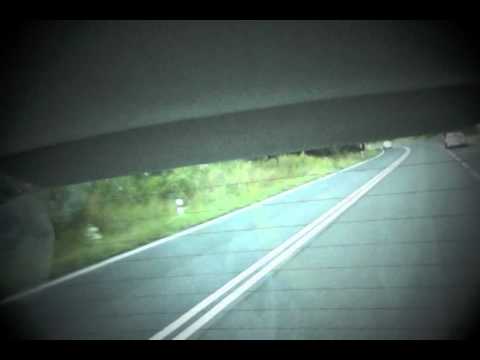 Izin Yolu 2011 (Türkiye)/Türkei Autobahn