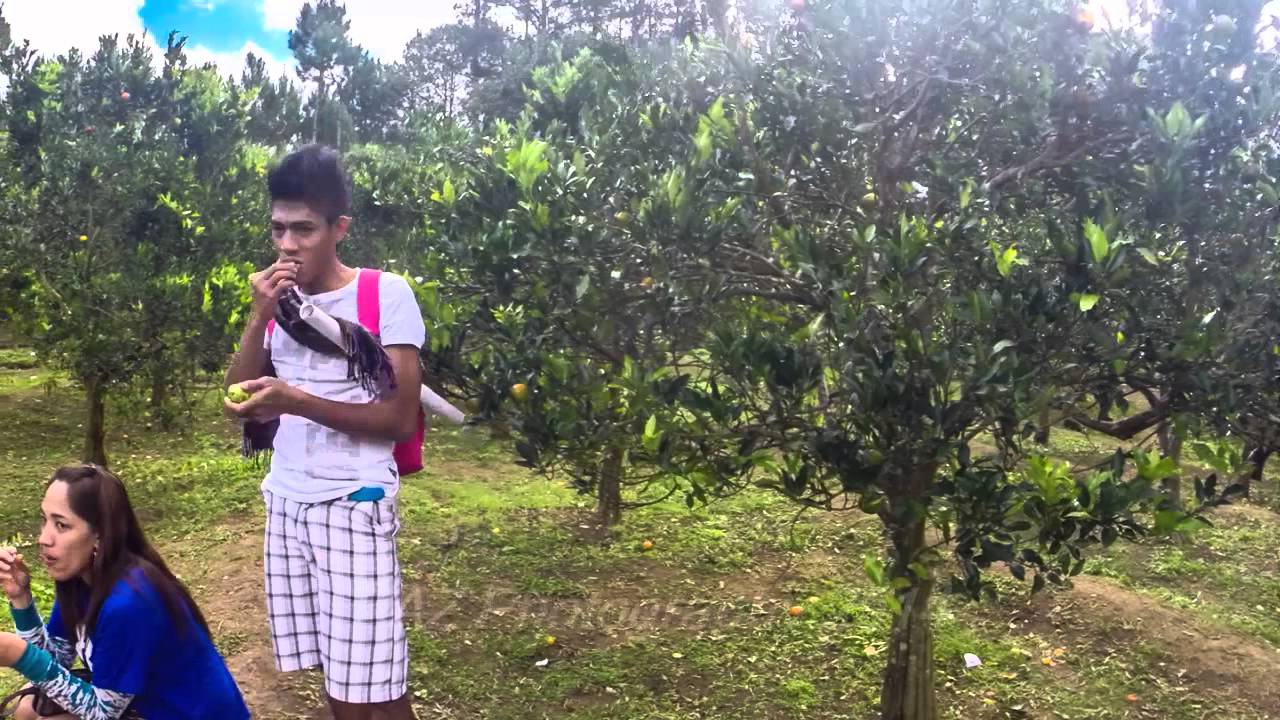 Panolapse @ The Orange Farm in Sagada... - YouTube