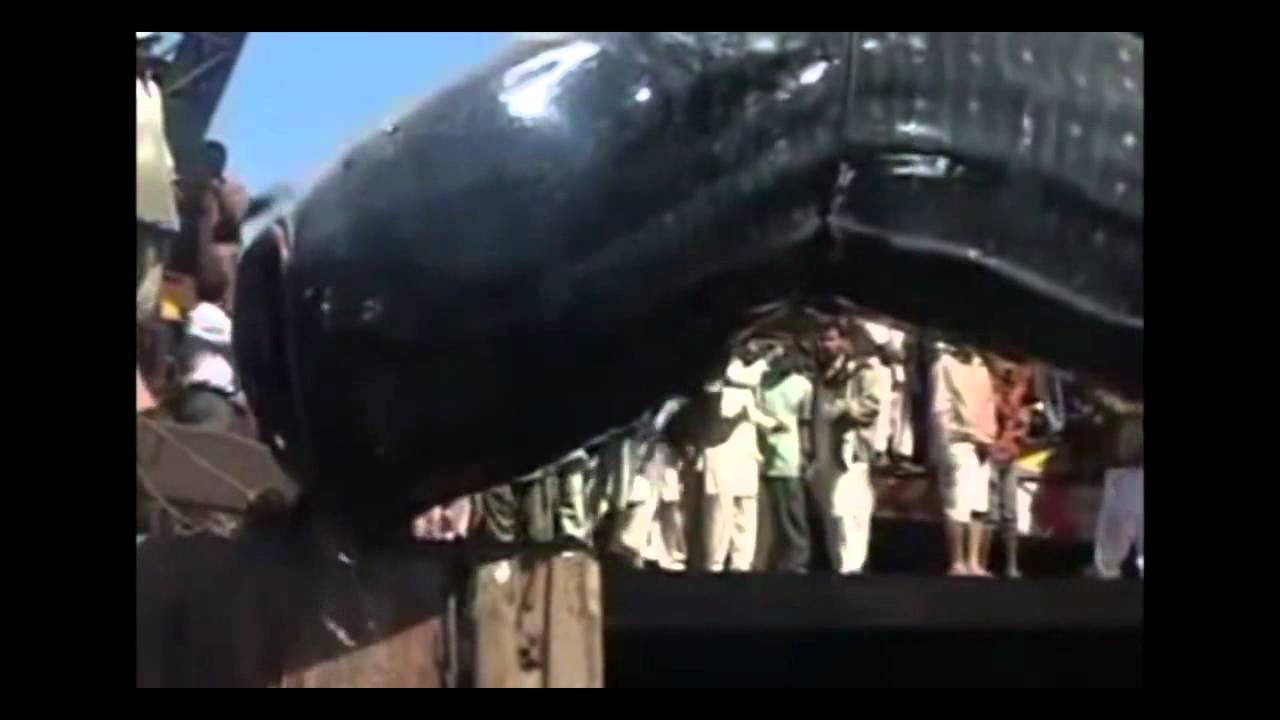 Pakistan found big shark in 2012 in karachi fishermen reel in giant ...