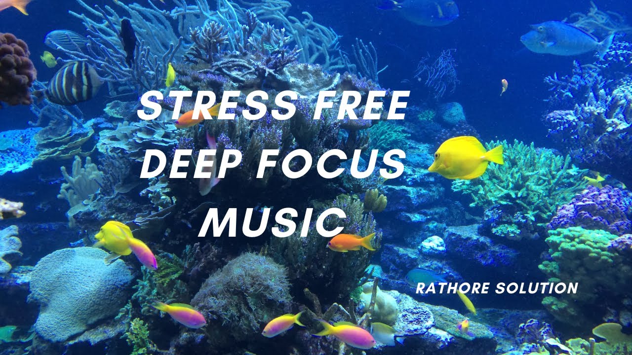 meditation । Concentration Music For Studying - Deep Focus Music To ...