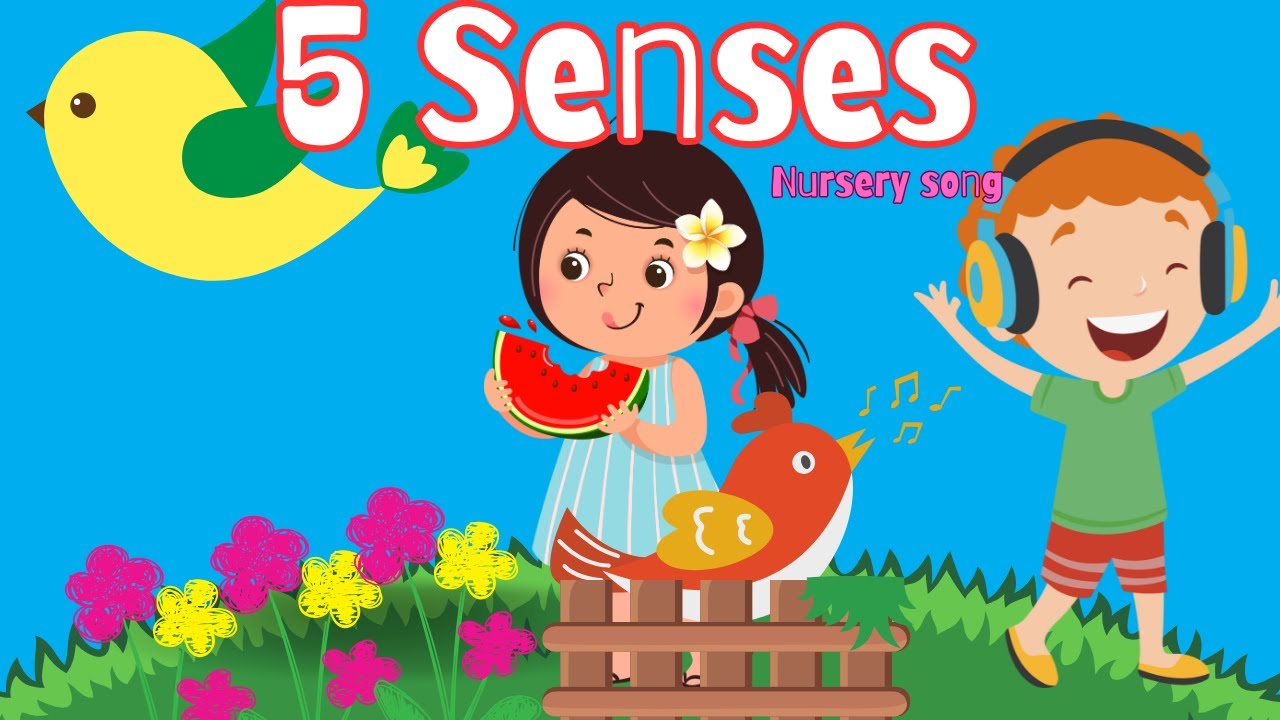 Five Senses, Let's Explore!-Learning Senses - YouTube
