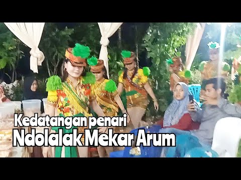 Kedatangan Penari Cantik Ndolalak Mekar Arum, Tirip Wadaslintang