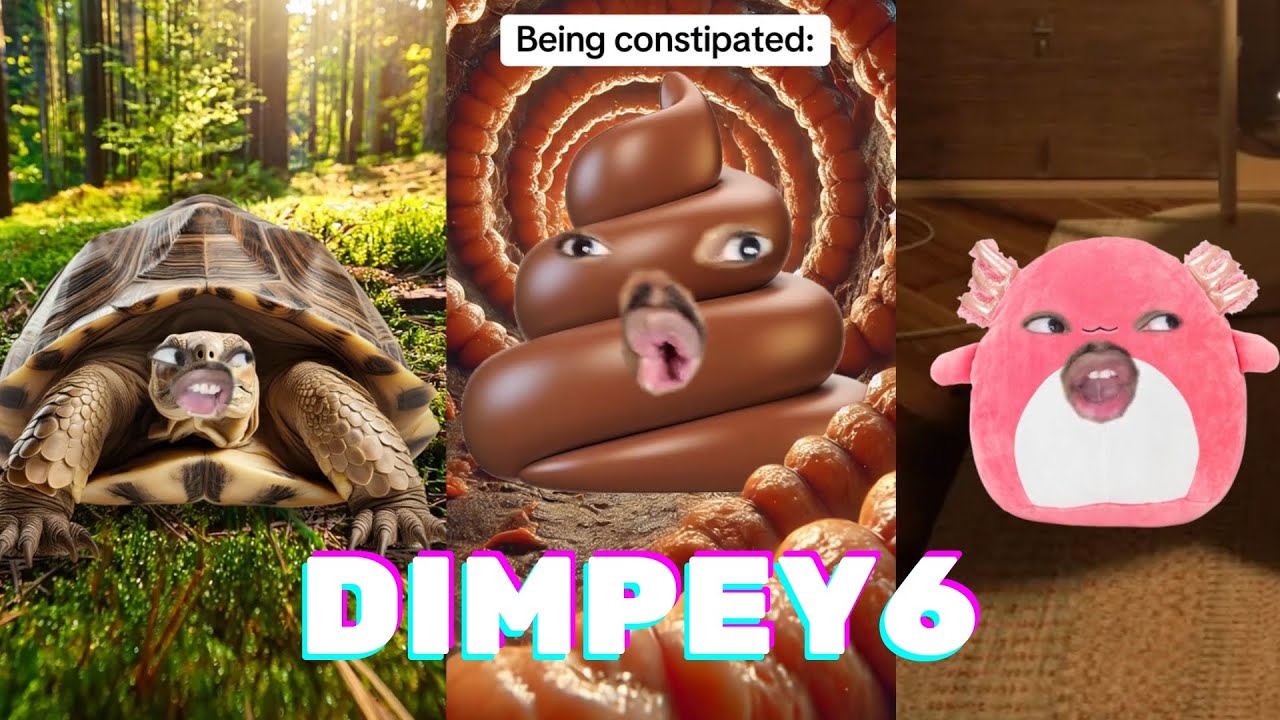 *2+ Hour* Best Dimpey6 Funny Videos | Dimpey6 Shorts Videos 2025 ...