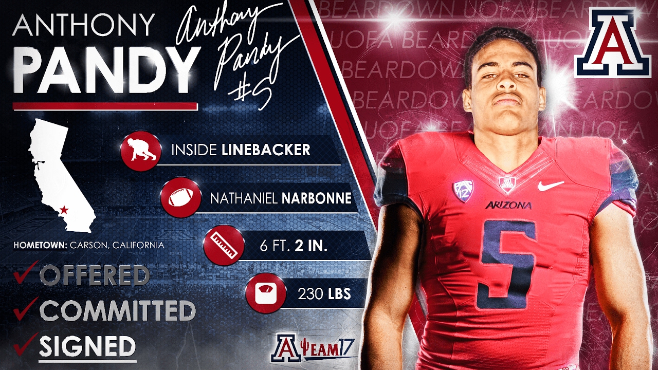 Anthony Pandy NSD2017 - YouTube