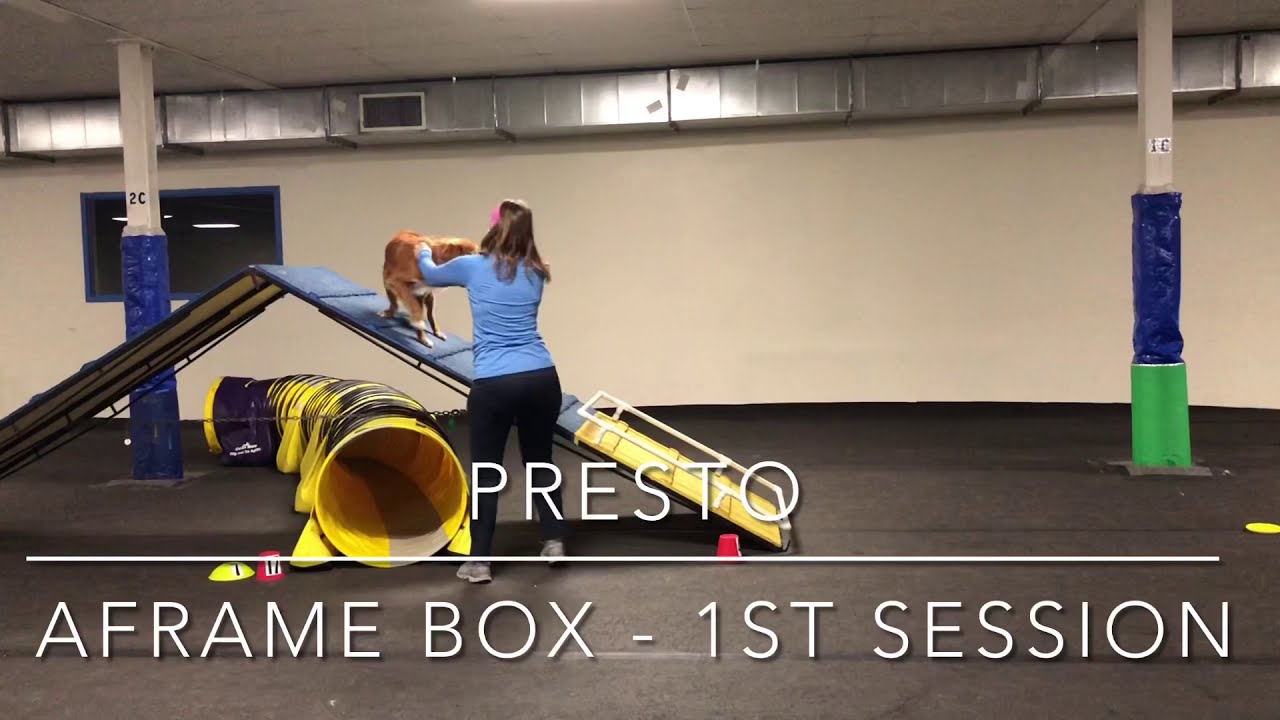 Aframe: 1st Session - YouTube