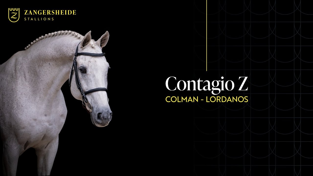 Contagio Z - Stallion Presentation 2025 ENG - YouTube