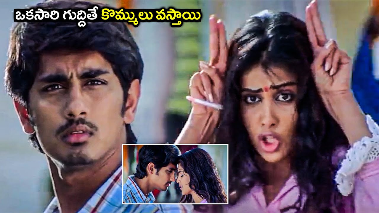 Siddharth And Genelia Superhit Movie Temple Comedy Scene | Prakash Raj | Bommarillu | Telugu ...