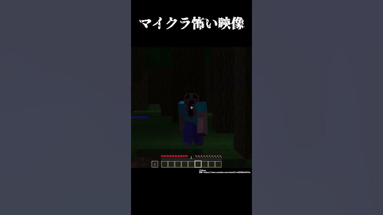 世界で発見されたマイクラの奇妙なモノ【ゆっくり解説】 Shorts Youtube