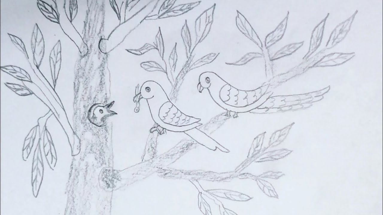 easy bird drawing, how to draw a bird step by step,, bird drawing ...