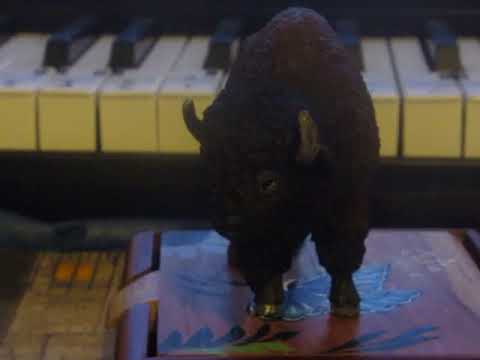 BILLY THE BISON. - YouTube