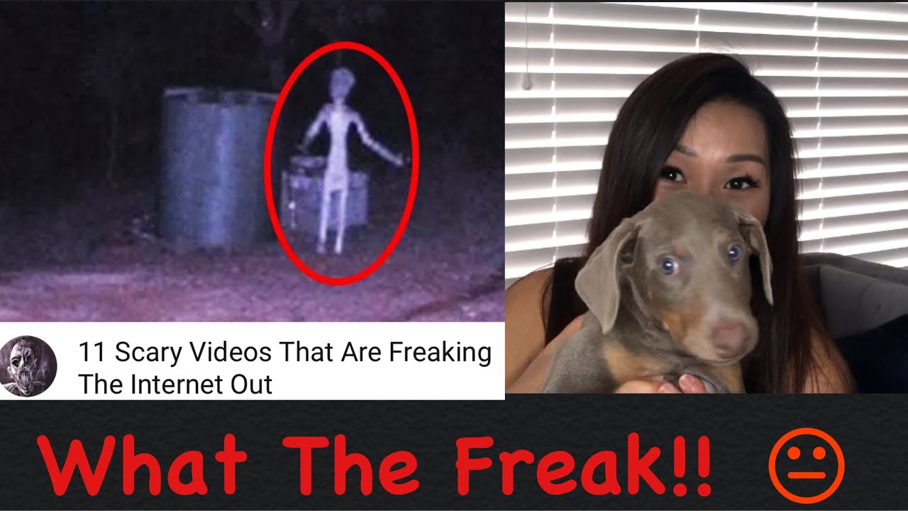 What The Freak!! | 11 Scary Videos That Freaks the Internet - YouTube