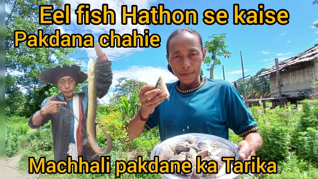 EeL fish // Hathon se kaise // pakdna chahie Machhali pakdane ka Tarika ...
