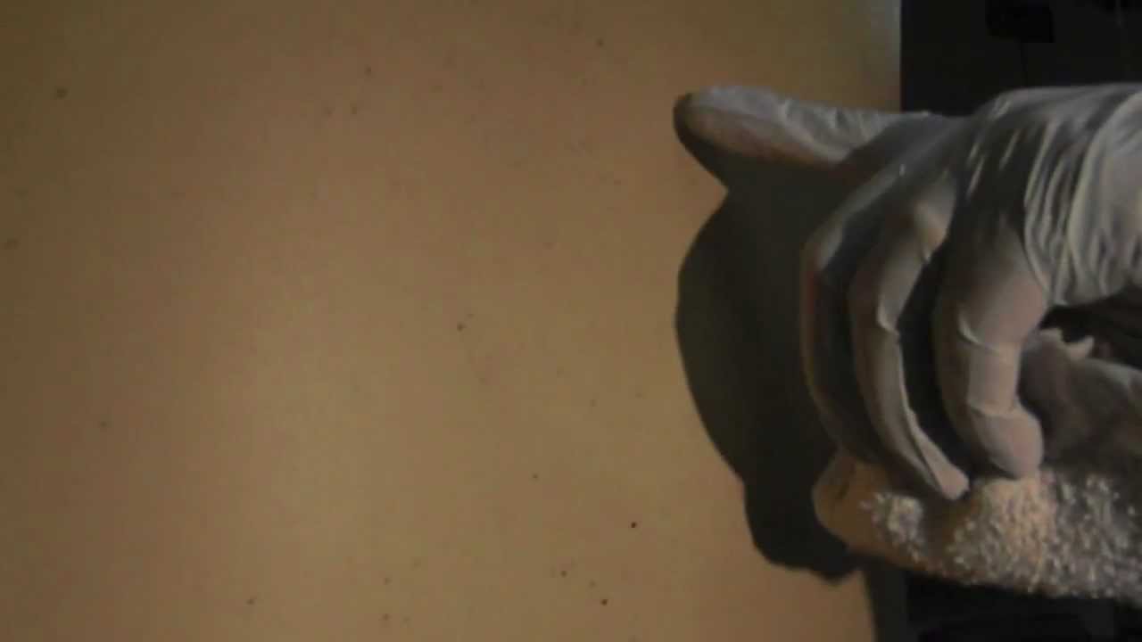 How to Resolve Mold in Leather - YouTube