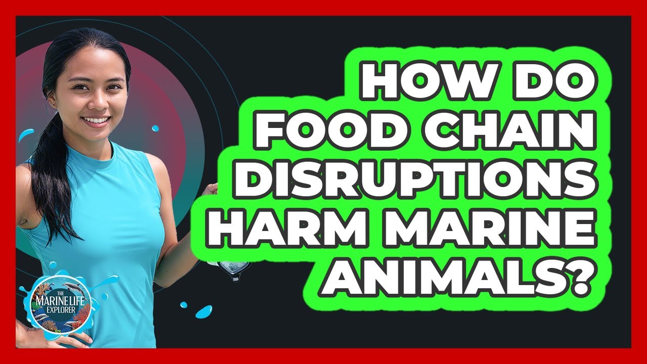 How Do Food Chain Disruptions Harm Marine Animals? - YouTube