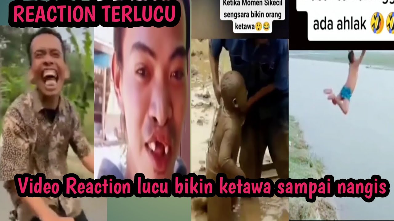Video reaction terlucu - video tiktok lucu bikin ketawa samapai ngakak ...